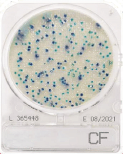 thiết bị thí nghiệm sinh học : Đĩa Compact Dry kiểm tra Coliform | Nissui